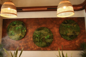 Find The 5 Best Cannabis Clubs In Barcelona | Weed Clubs In Barcelona